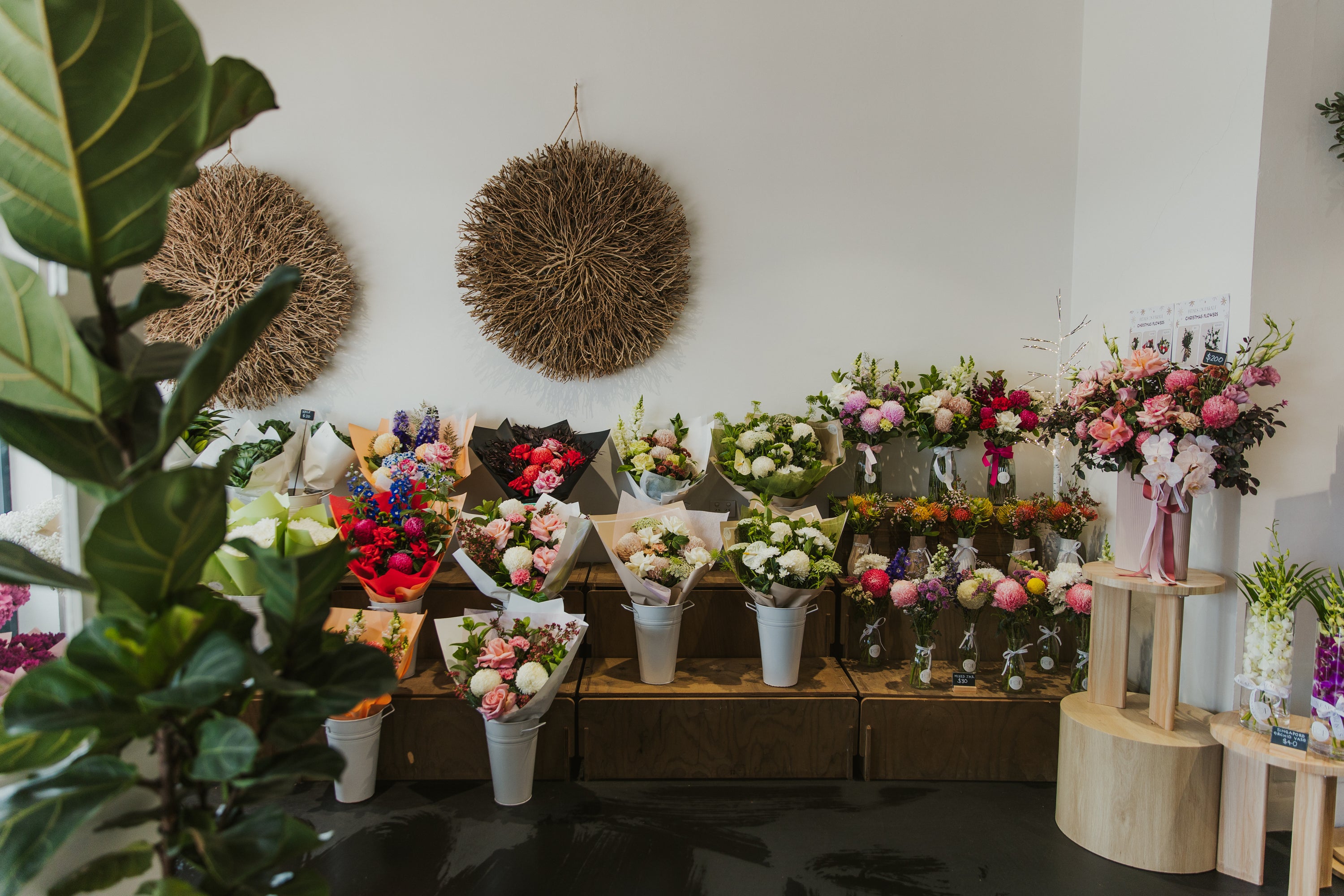 Petals on Parade – Petals on Parade