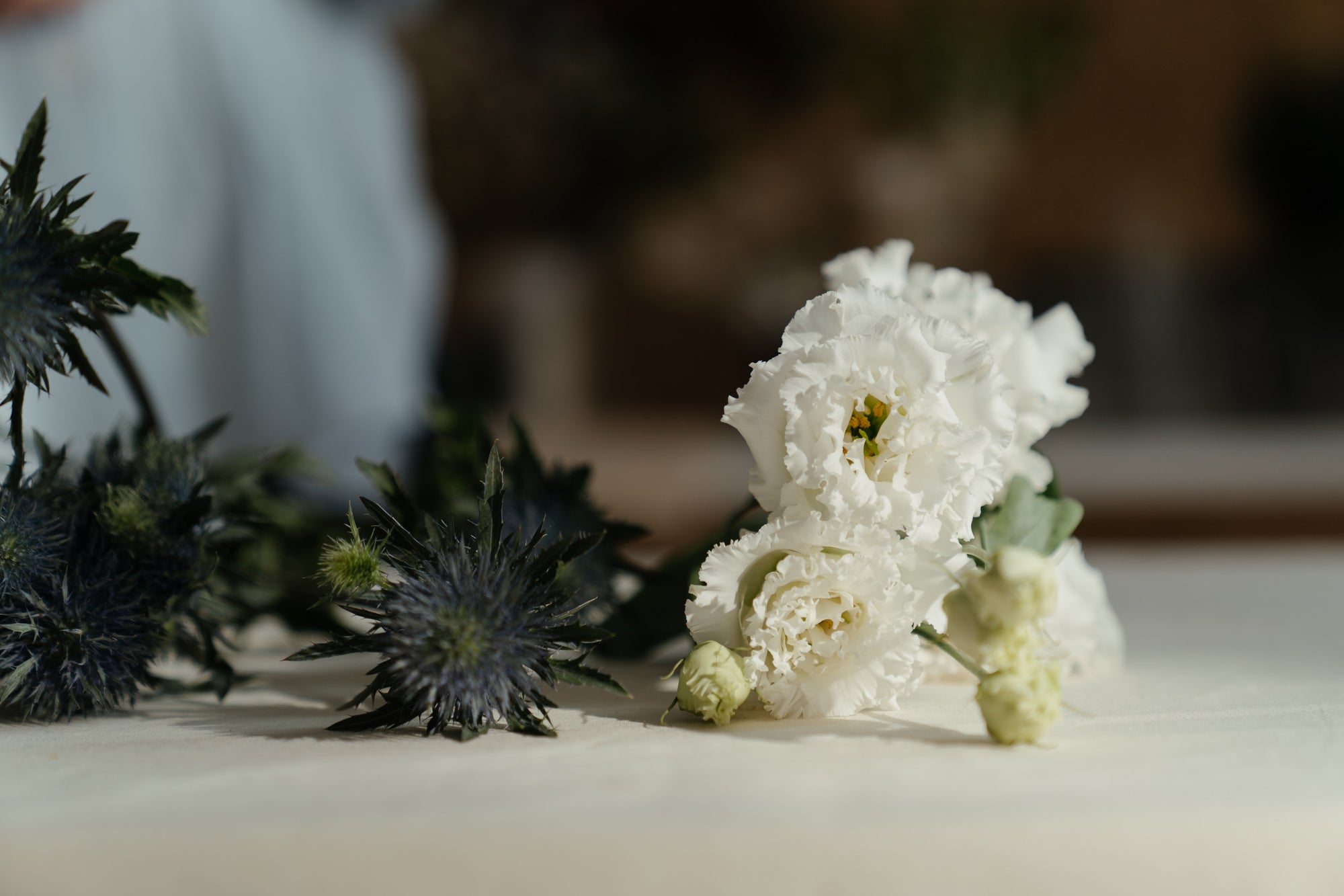 Petals on Parade – Petals on Parade